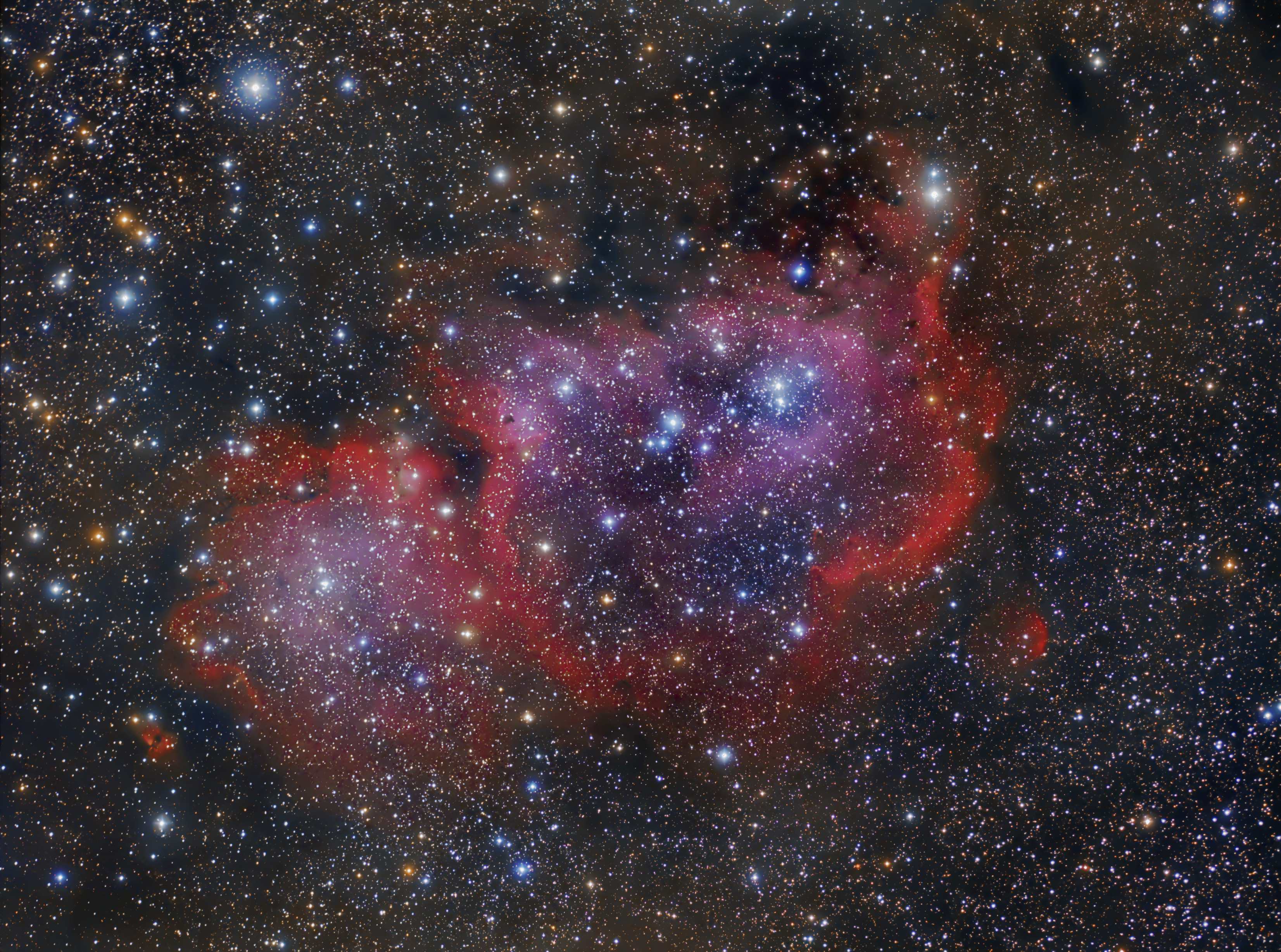 IC1848